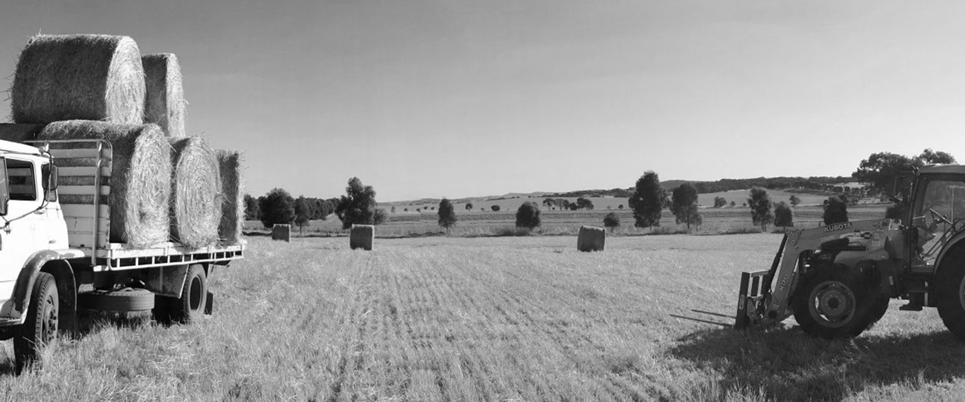 Griffith Butchery | Best Butchers Canberra